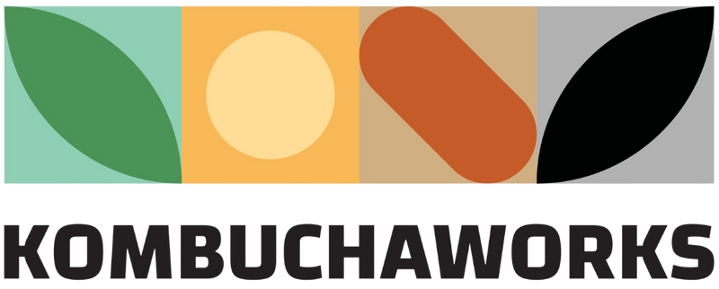 How to make Kimchi using Kombucha – Kombucha Works